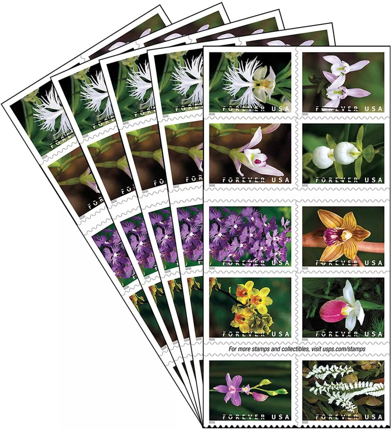 Wild Orchids Forever Stamps – foreverstamps